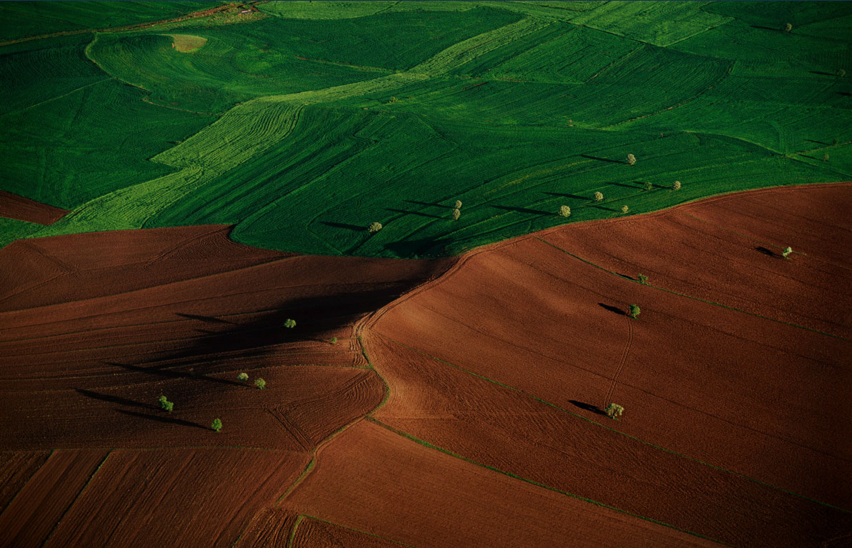 Climate Change and Land - IPCC - Focal Point Italia